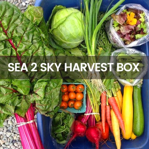 Harvest Boxes / CSA | Pemberton | Whistler