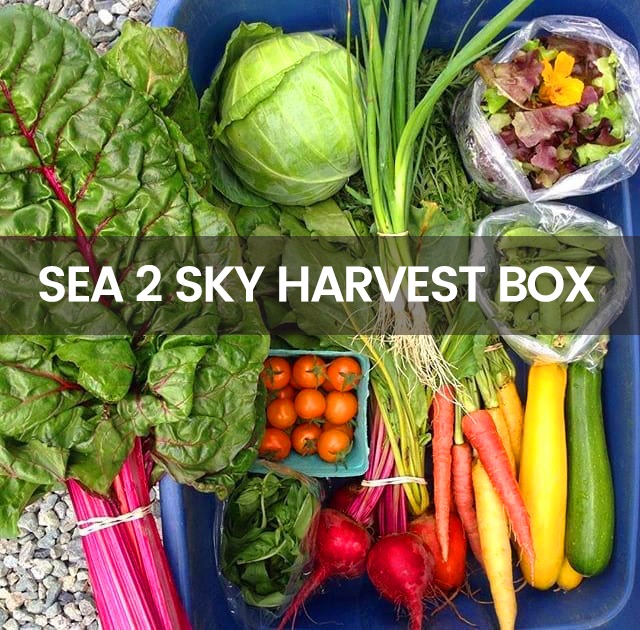 Organic Veggie Harvest box | Pemberton and Whistler